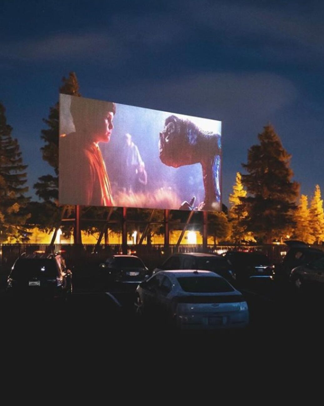 Descubre los secretos de los mejores sitios de citas en Tijuana ...